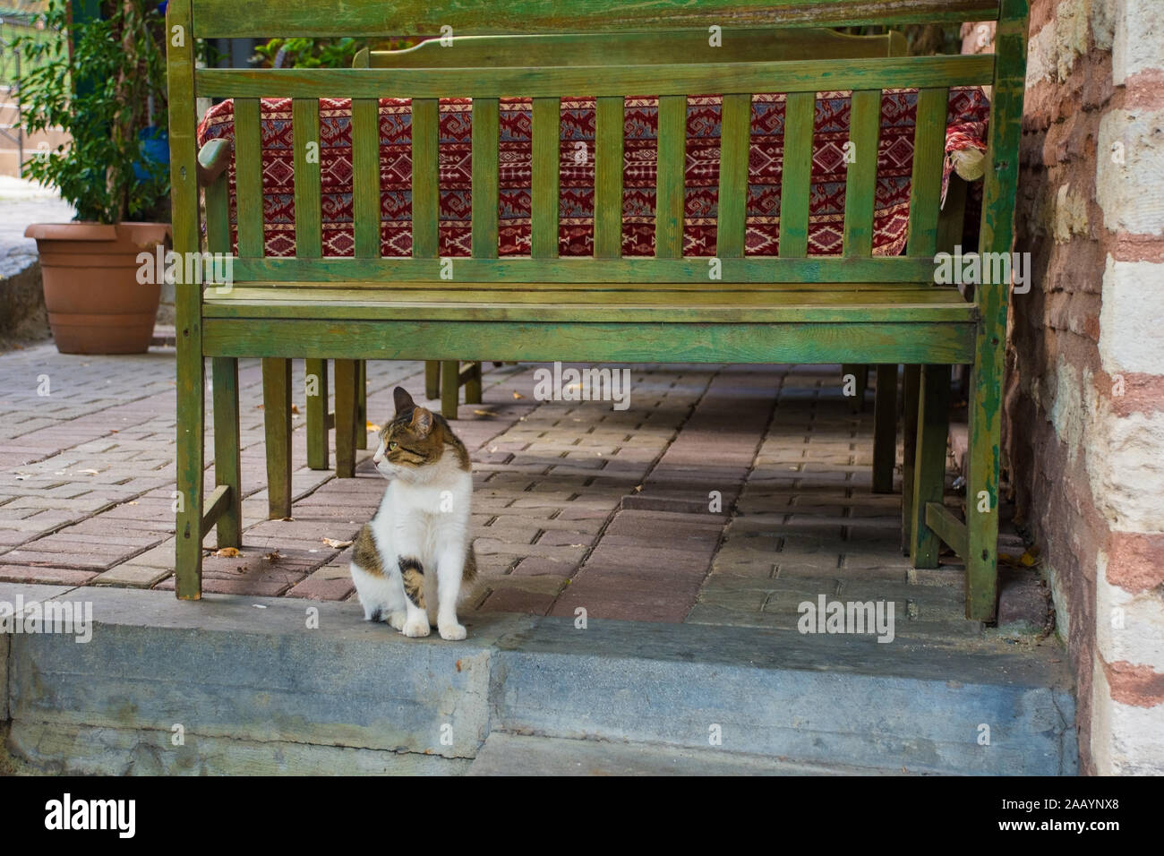 Istanbuls fatih district hi-res stock photography and images - Alamy