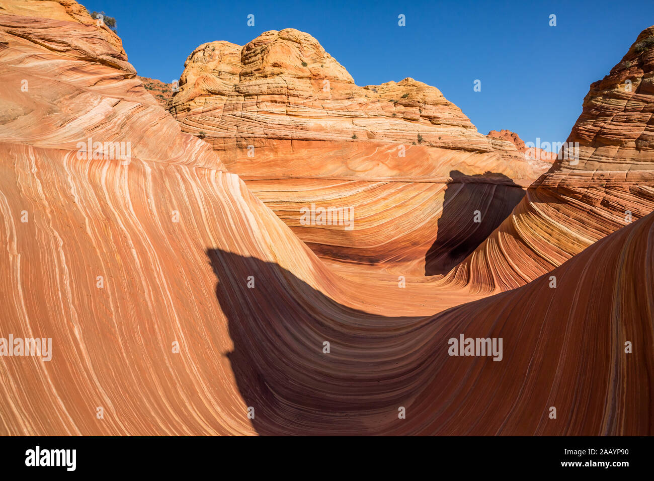 The infamous Wave formation in northern Arizona on the Kaibab Plateau ...