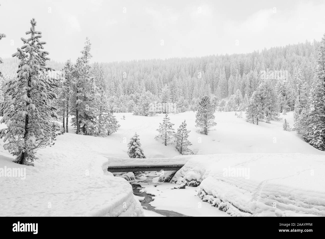 High-key winter landscape with a bridge and a stream in the foothills ...