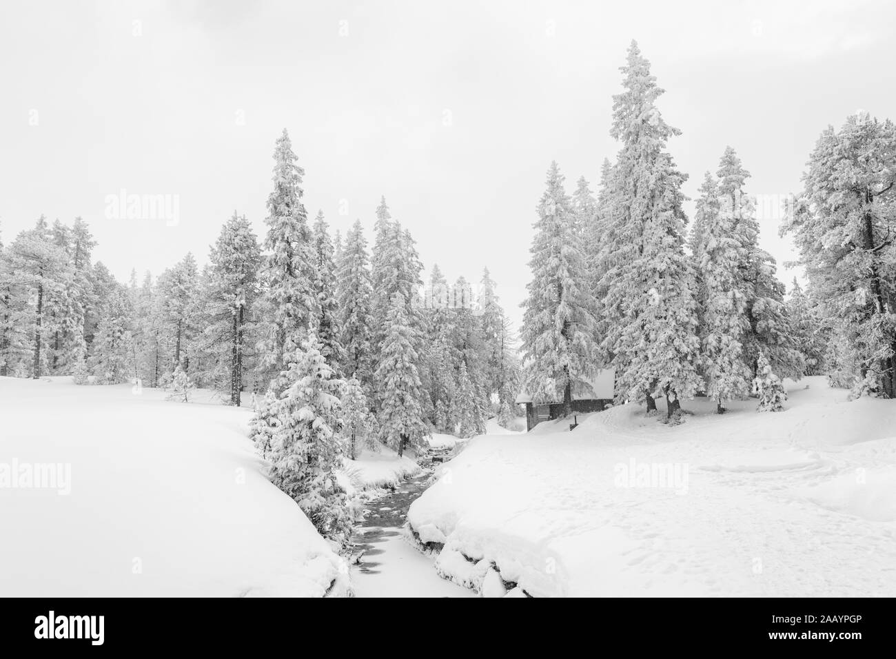 Snowfall in winter switzerland alps Black and White Stock Photos ...