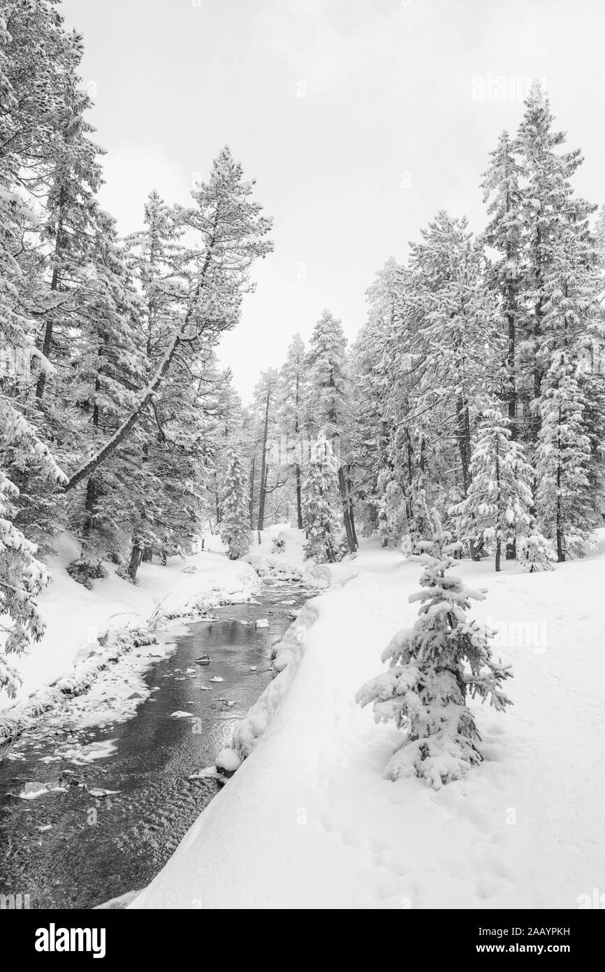 Beauty foothills Black and White Stock Photos & Images - Alamy