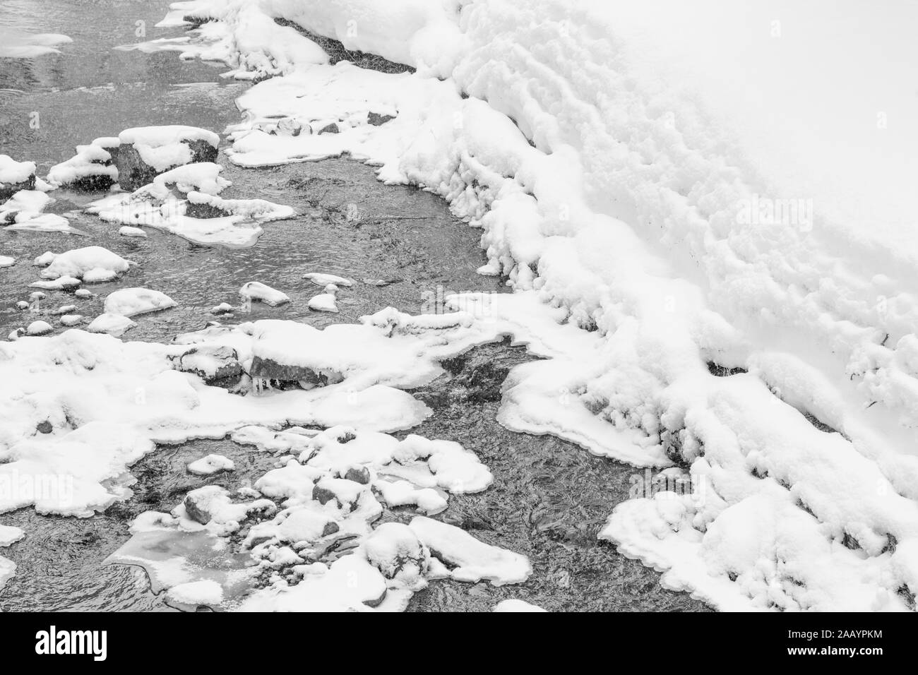 High-key winter landscape with fir trees and a stream in the foothills ...
