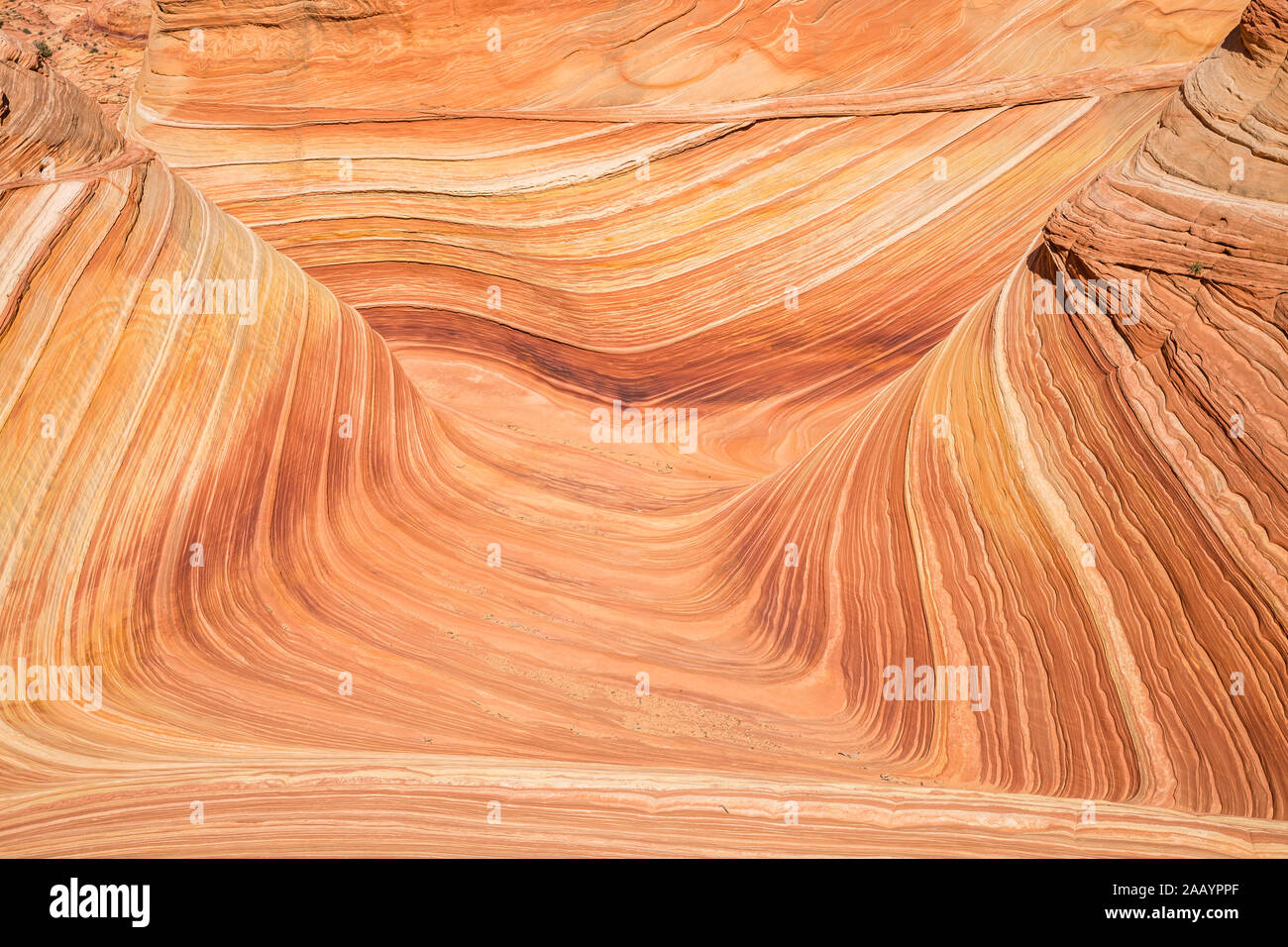 Curves and lines of striated sandstone layers in the famous Wave ...