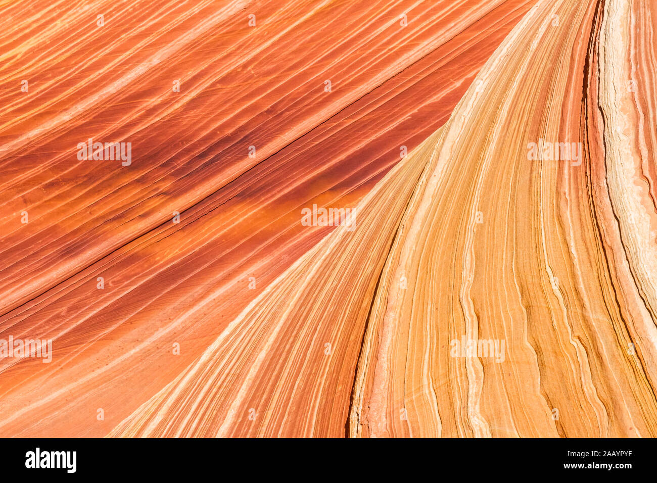 Sandstone layers of narrow canyon with converging lines in amazing ...