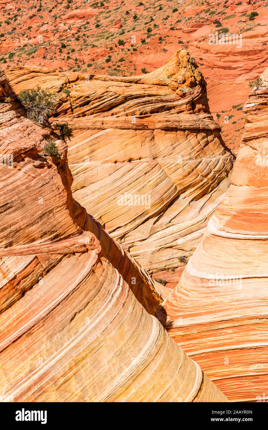 Layered depth of many sandstone towers and canyons with striated ...