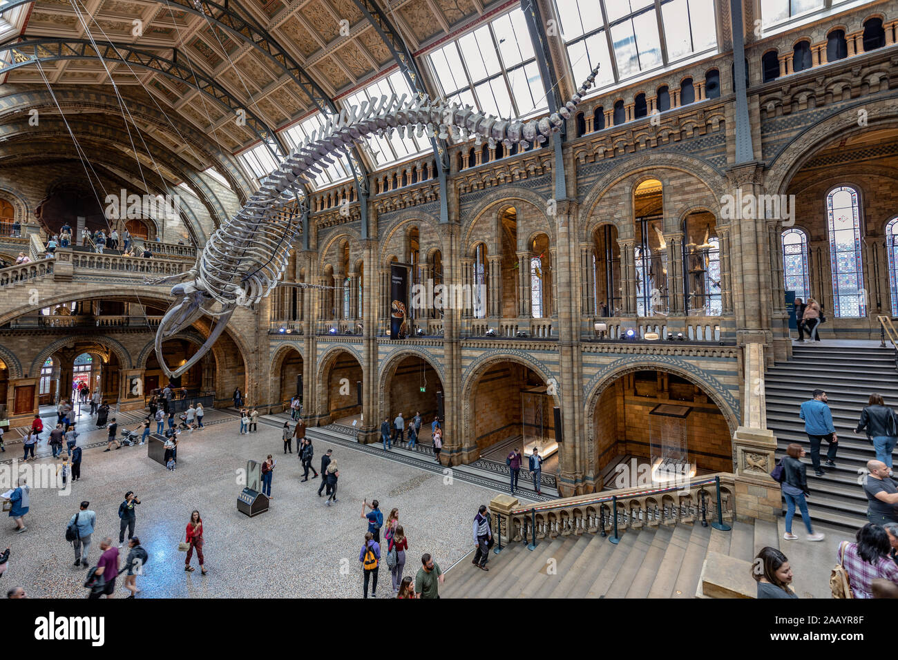 London,England, 16 Sep 2019: The Natural History museum is home to life ...