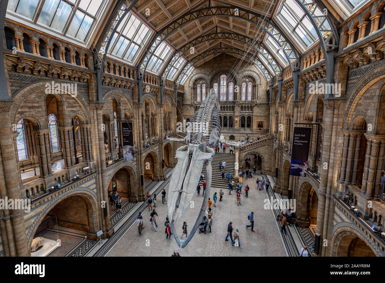 Darwin museum art gallery hi-res stock photography and images - Alamy