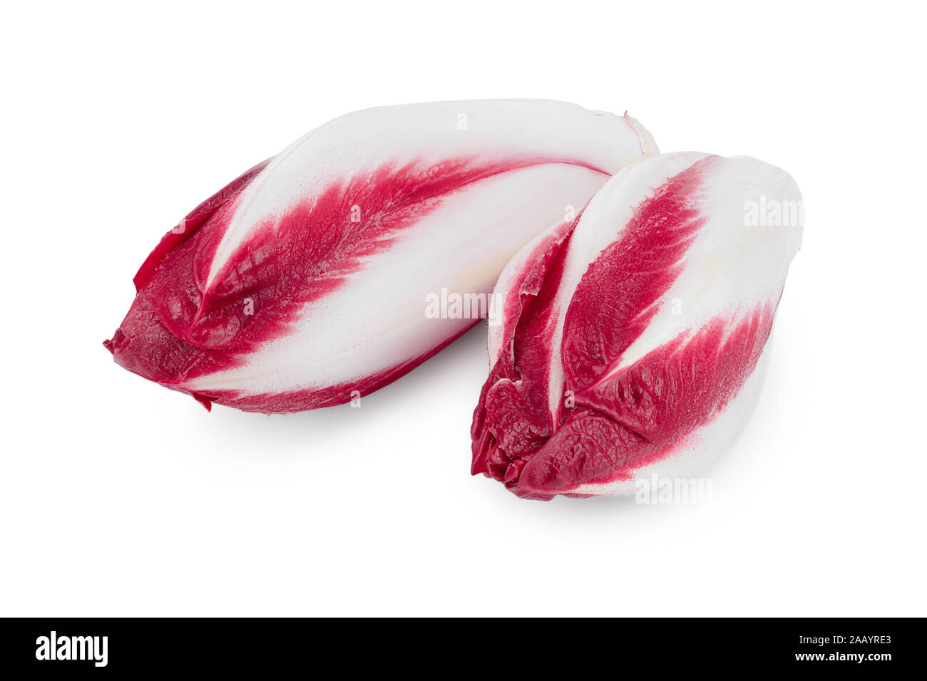 red chicory or radicchio isolated on white background Stock Photo - Alamy