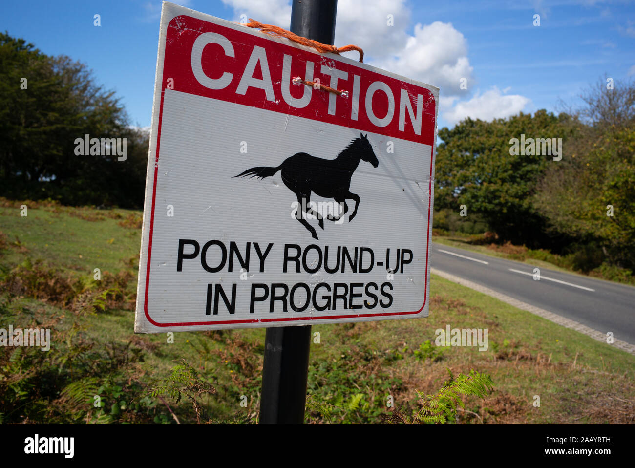 Progress check in hi-res stock photography and images - Alamy