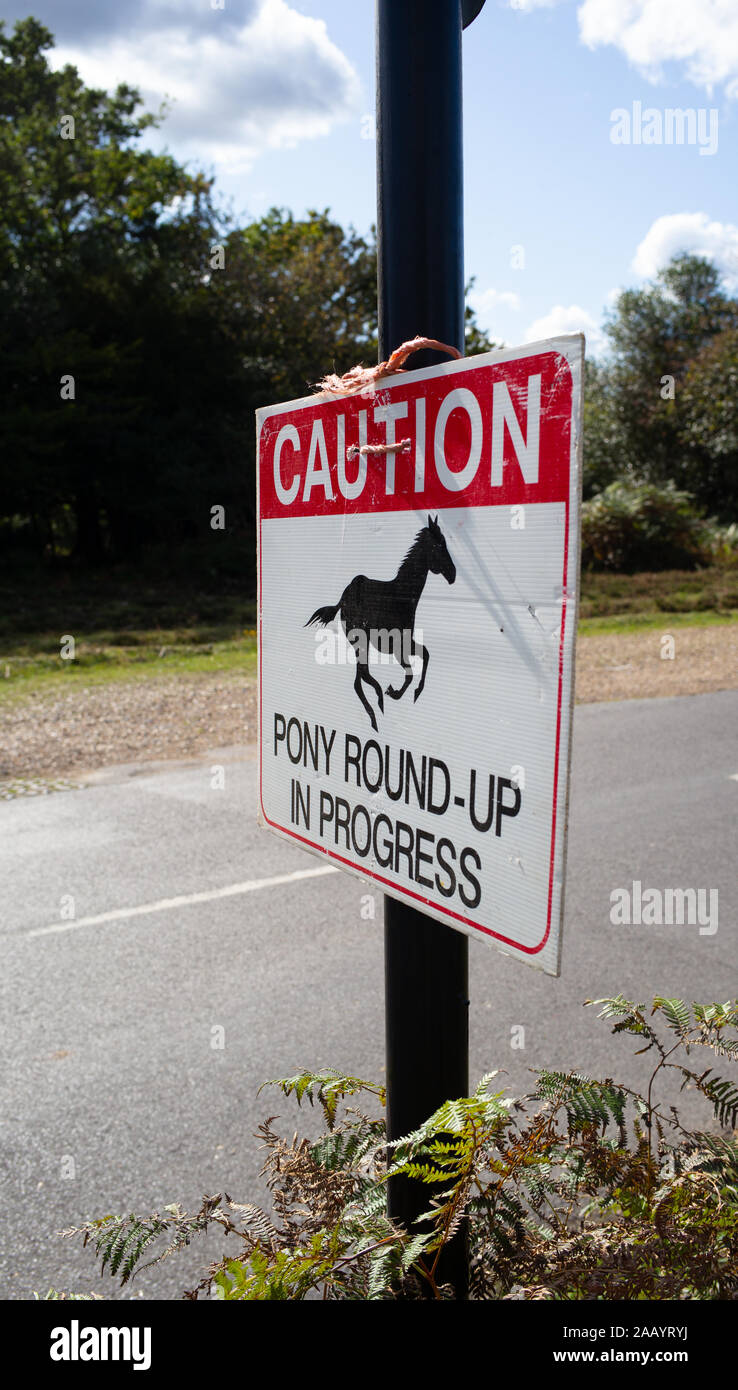 Signs in the New Forest national park Hampshire England warning ...