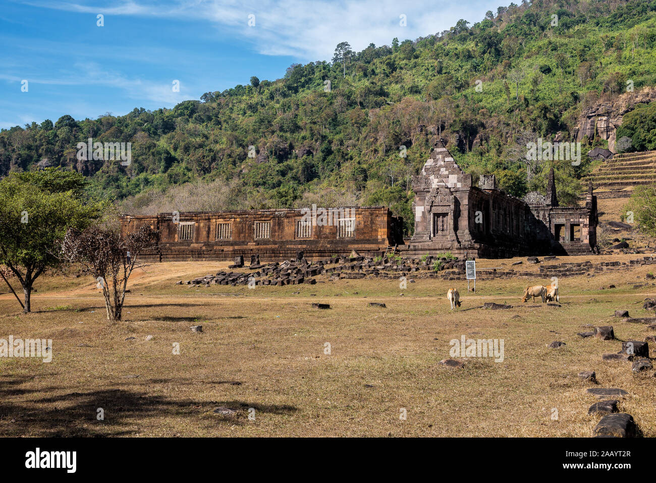 Vat Phou - Wat Phu temple in southern Laos Stock Photo - Alamy