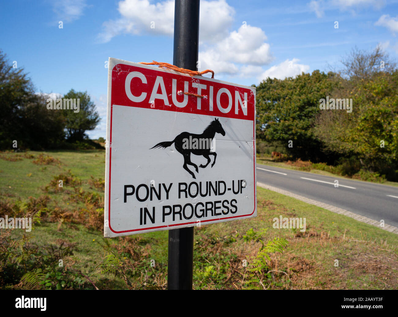 Signs in the New Forest national park Hampshire England warning ...