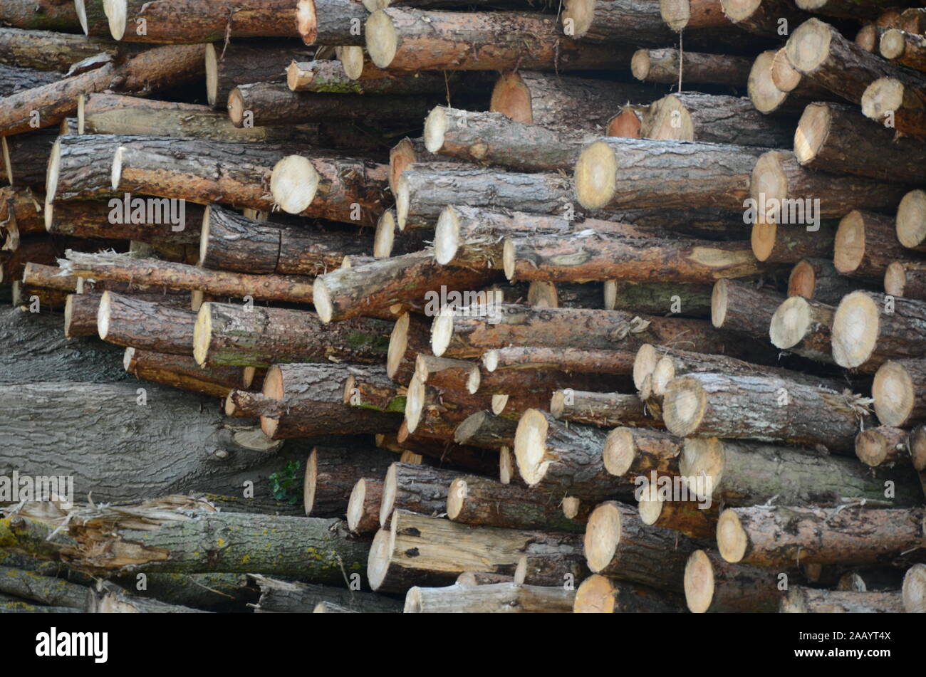Strategic Timber Reserve High Resolution Stock Photography and Images ...