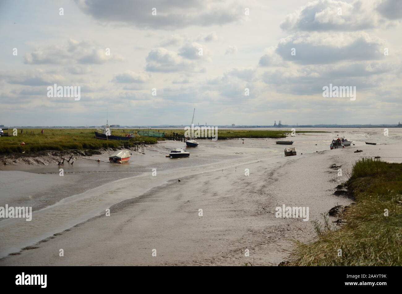 Burstwick hi-res stock photography and images - Alamy