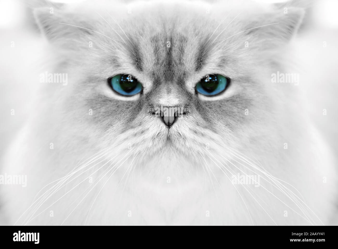 Eye focusing hi-res stock photography and images - Alamy