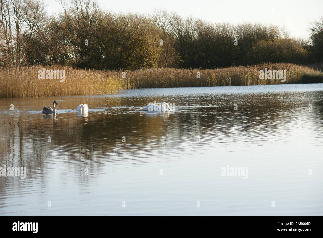 Welton hi-res stock photography and images - Alamy