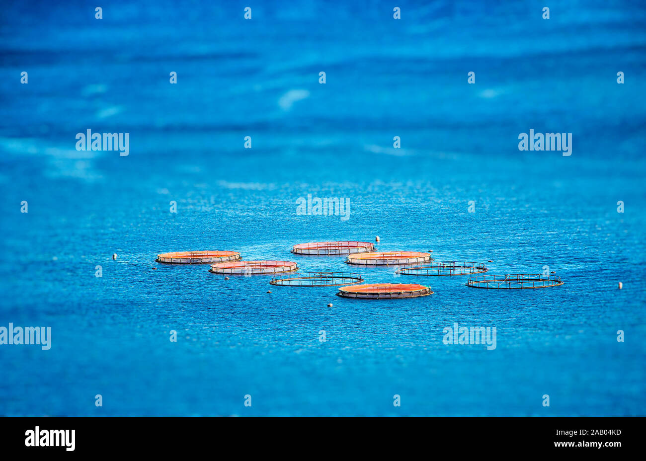 Fish ponds in Atlantic ocean near Madeira island, Portugal. The blue ...