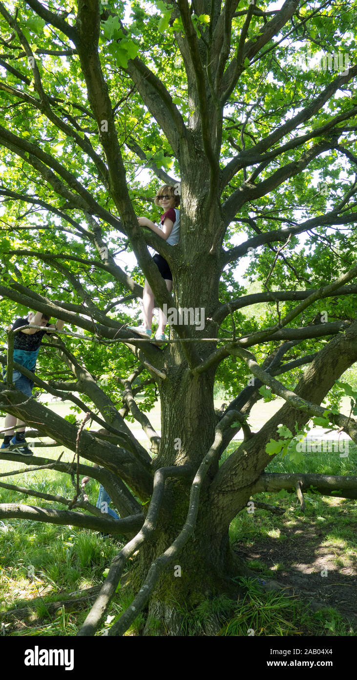 Children climbing tree hi-res stock photography and images - Alamy