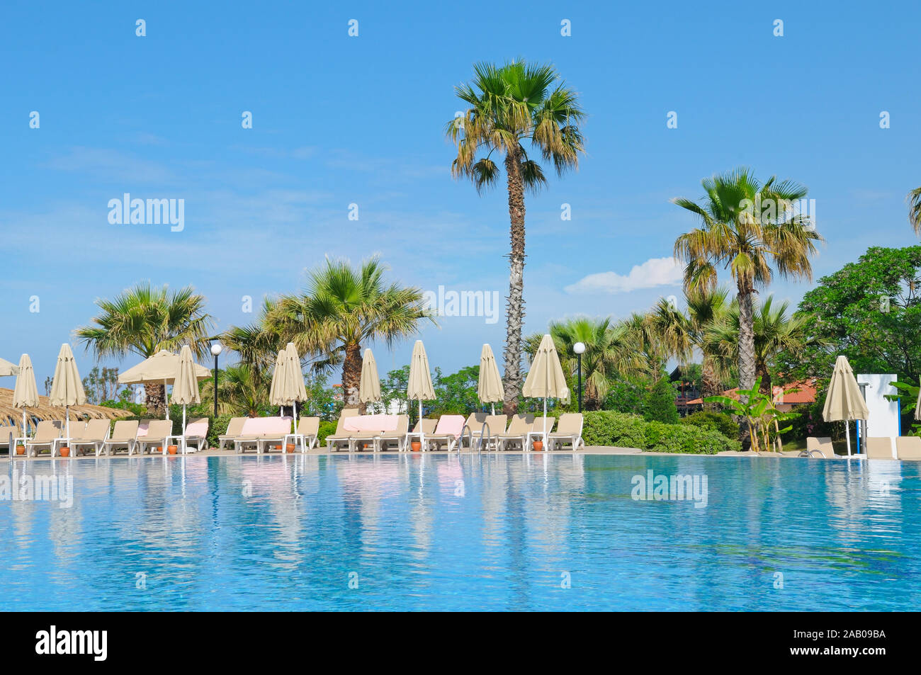 outdoor swimming pool, palm trees and a cozy area for sunbathing Stock ...