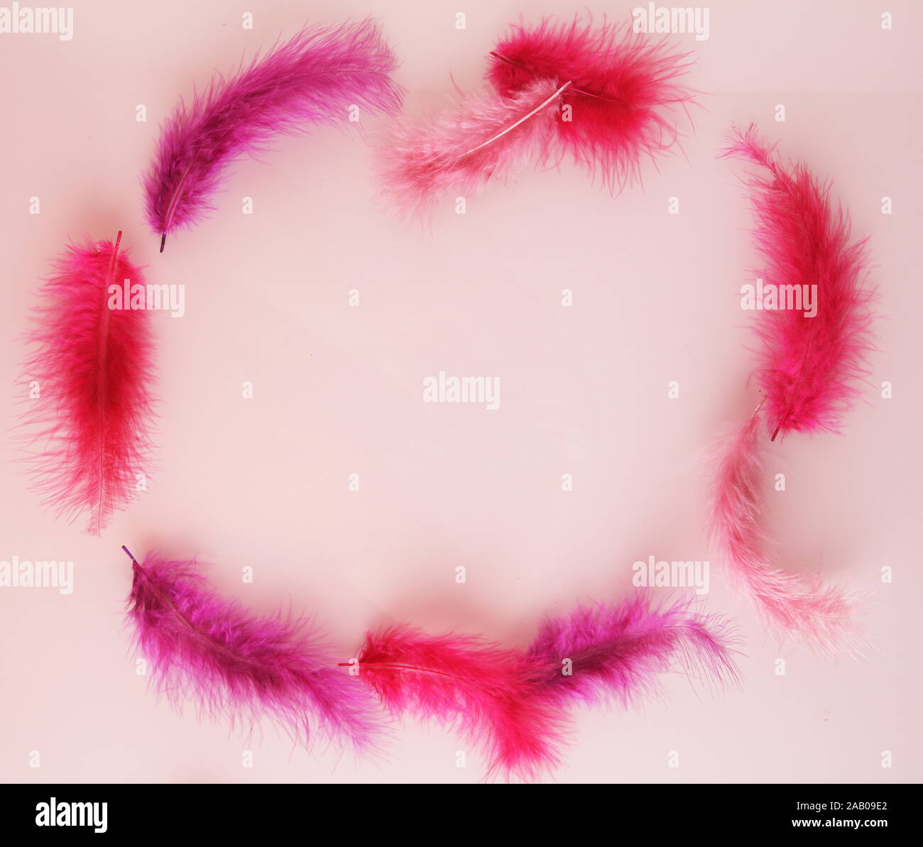 Red colored feathers frame on pink background for Fastelavn celebration ...