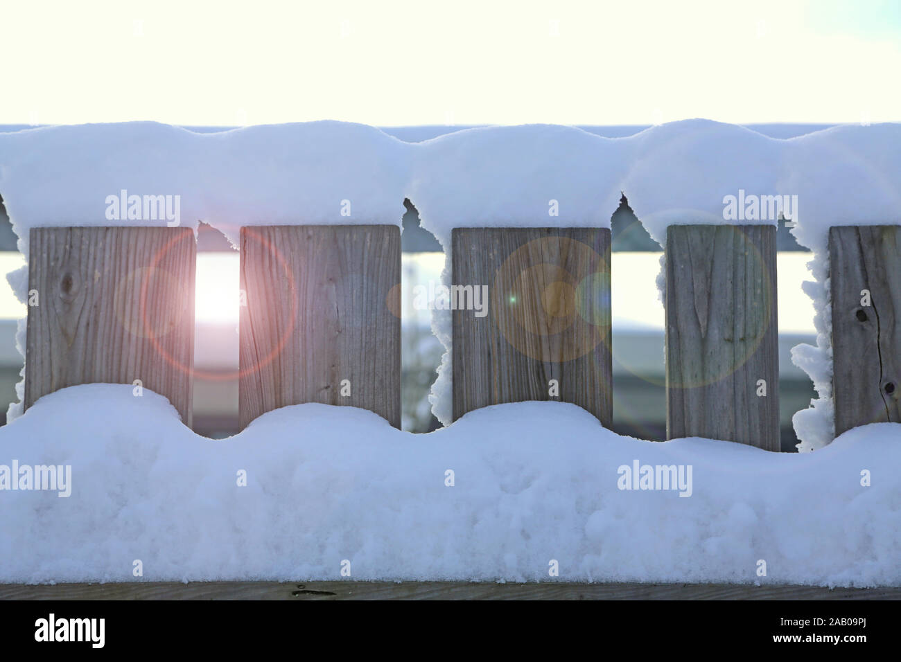 Snow covered hedge on a winter day Stock Photo - Alamy