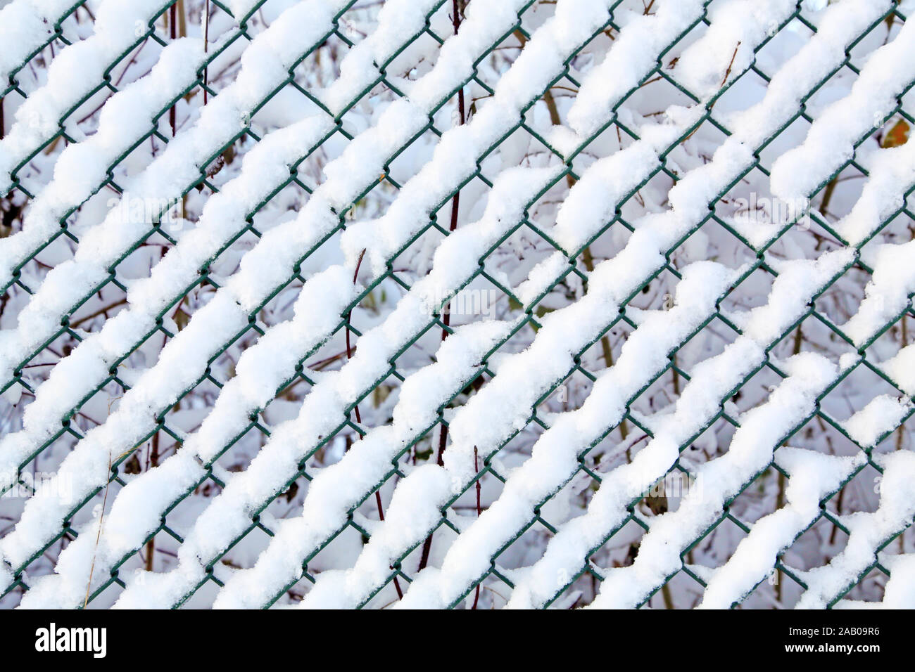 Snow covered hedge on a winter day Stock Photo - Alamy
