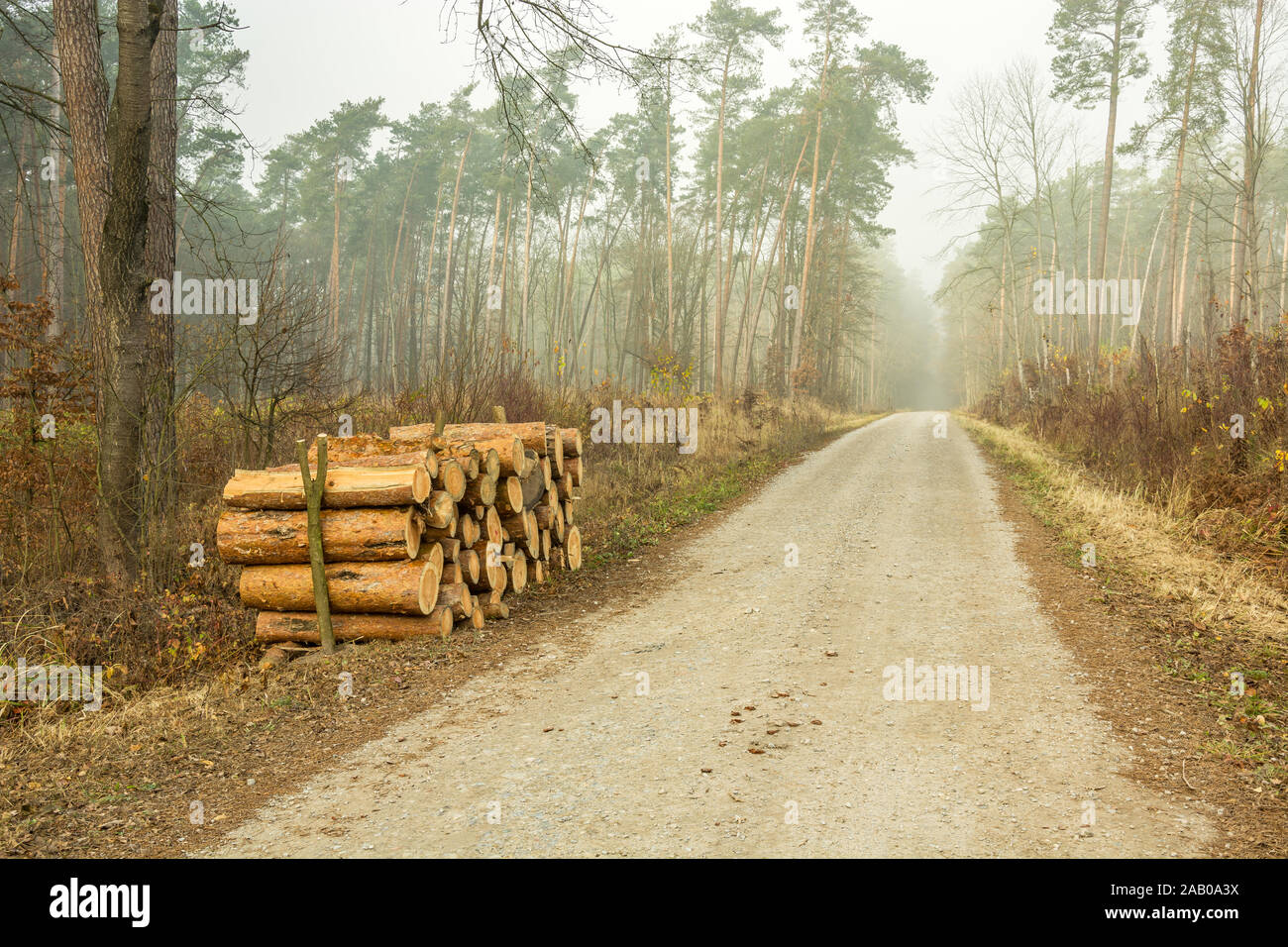 Tree lying in road hi-res stock photography and images - Alamy