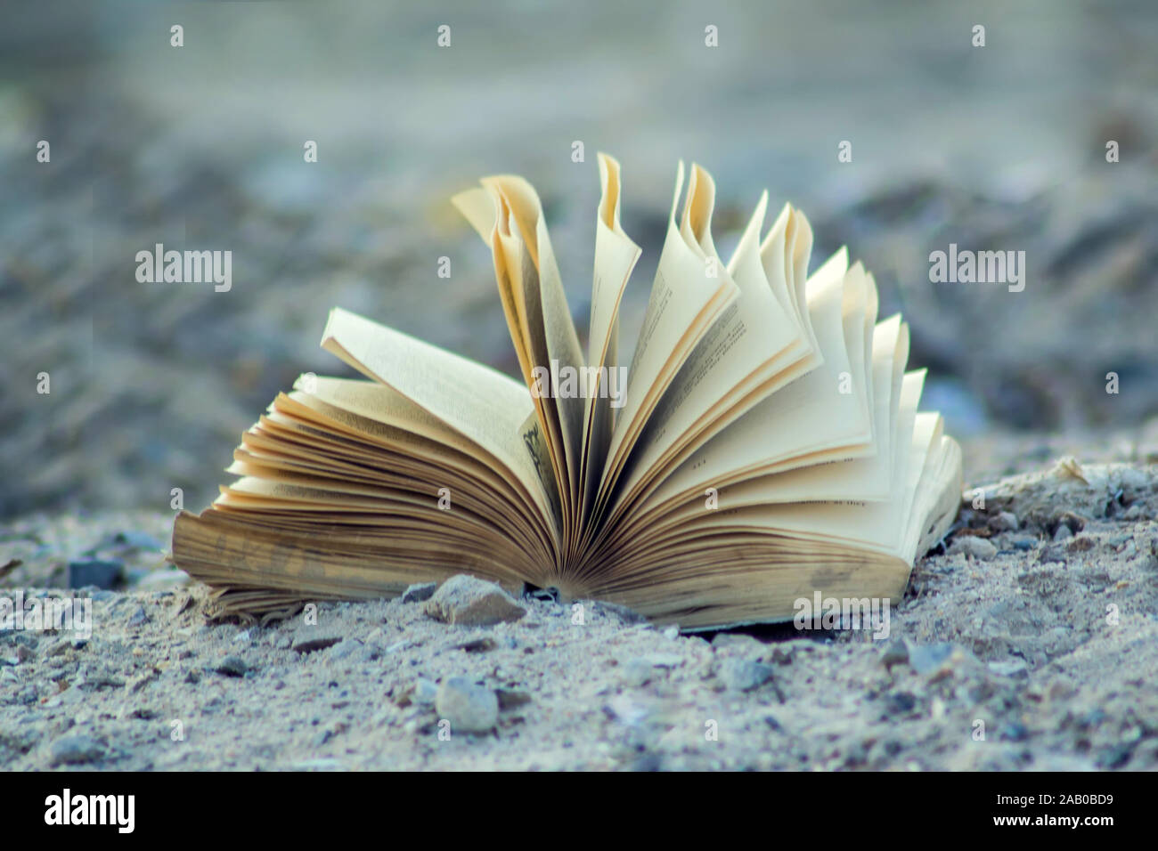 Old book page on ground hi-res stock photography and images - Alamy