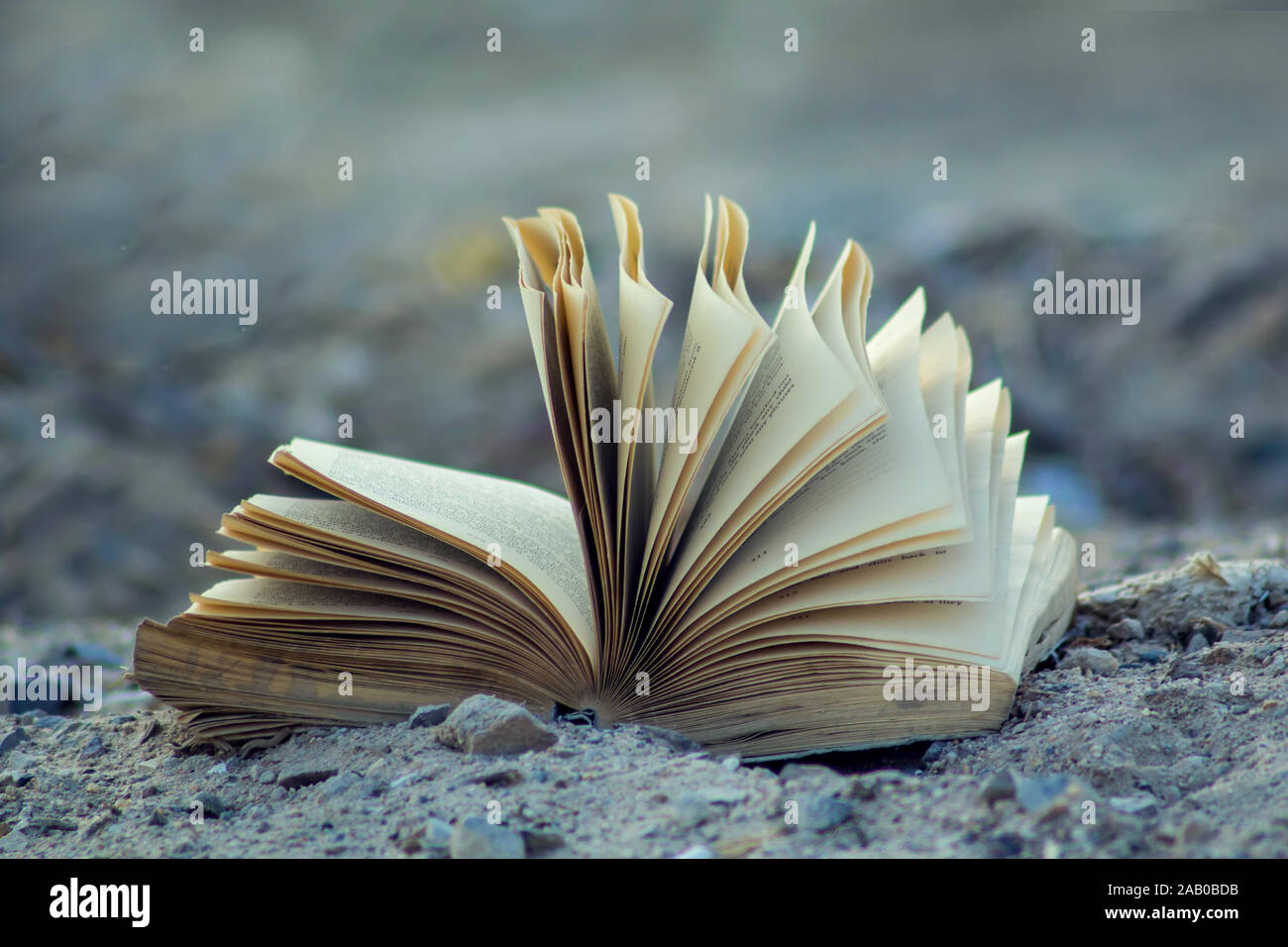Old book page on ground hi-res stock photography and images - Alamy