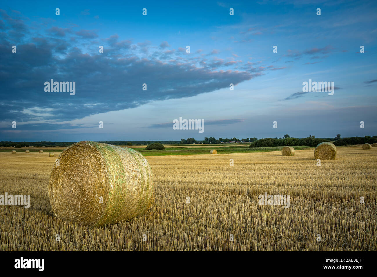 Round hay bales in the field, evening cloud and sky Stock Photo - Alamy