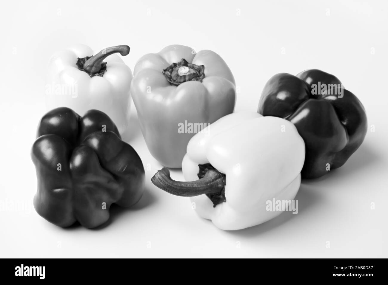 Crisp Black and White Stock Photos & Images - Alamy