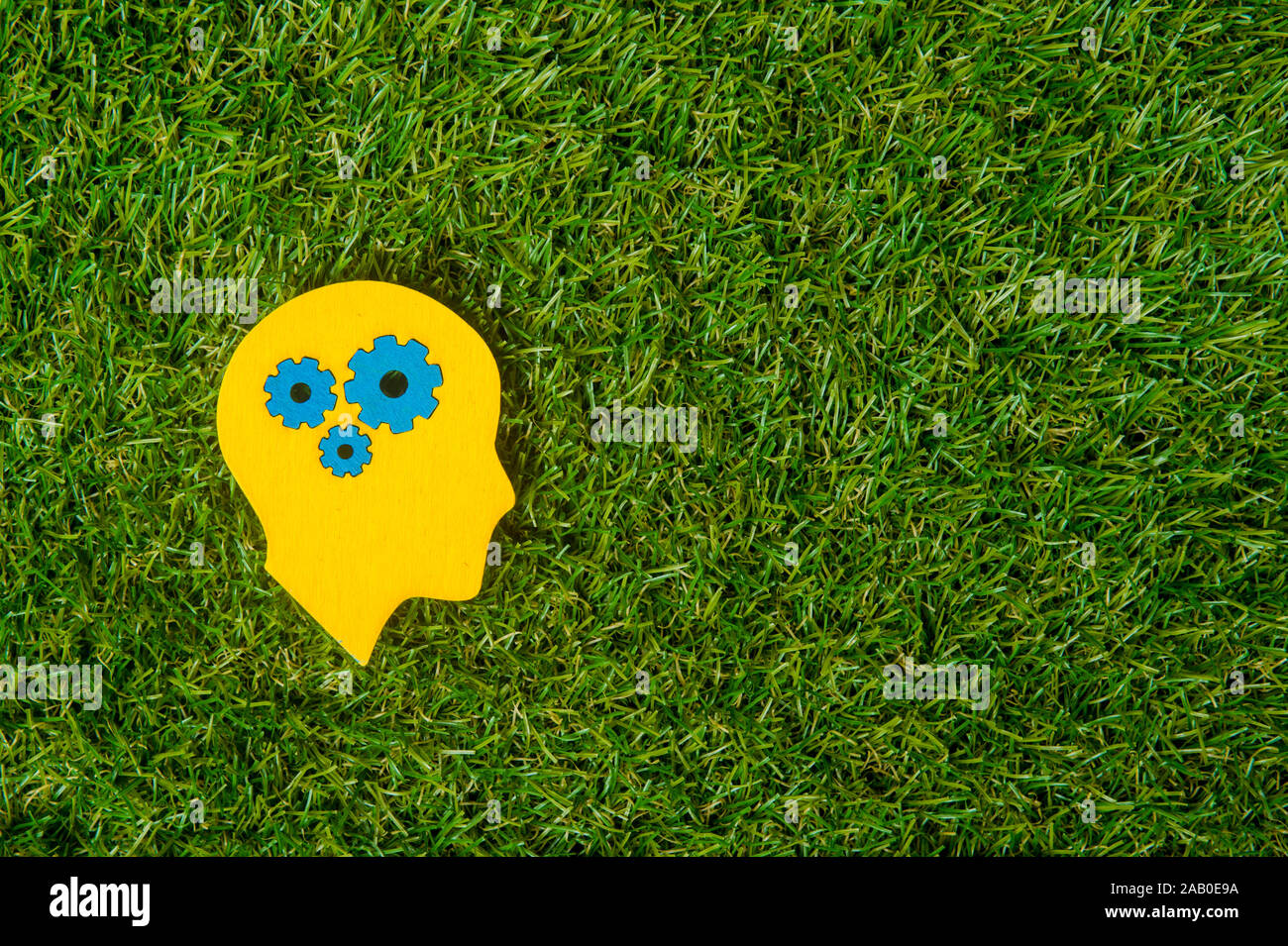 Brain works concept. Thinking, creativity concept of the human head ...