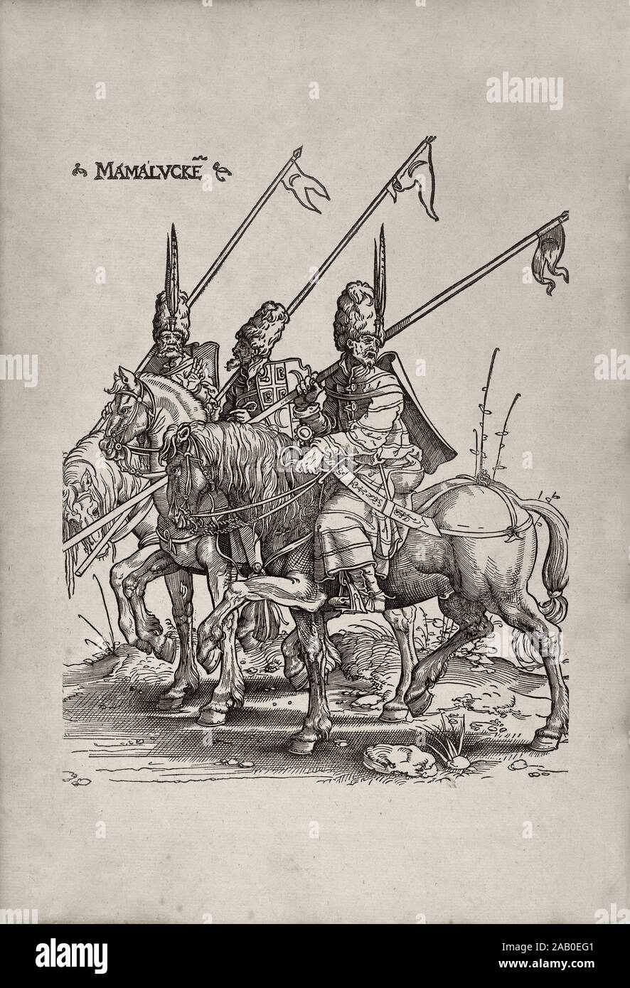 Mameluk High Resolution Stock Photography and Images - Alamy