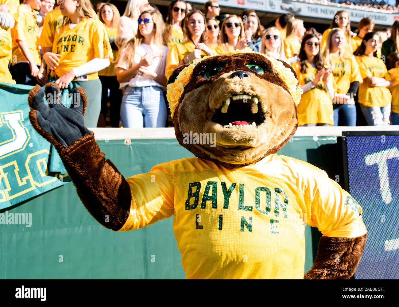 Longhorns mclane stadium hi-res stock photography and images - Alamy