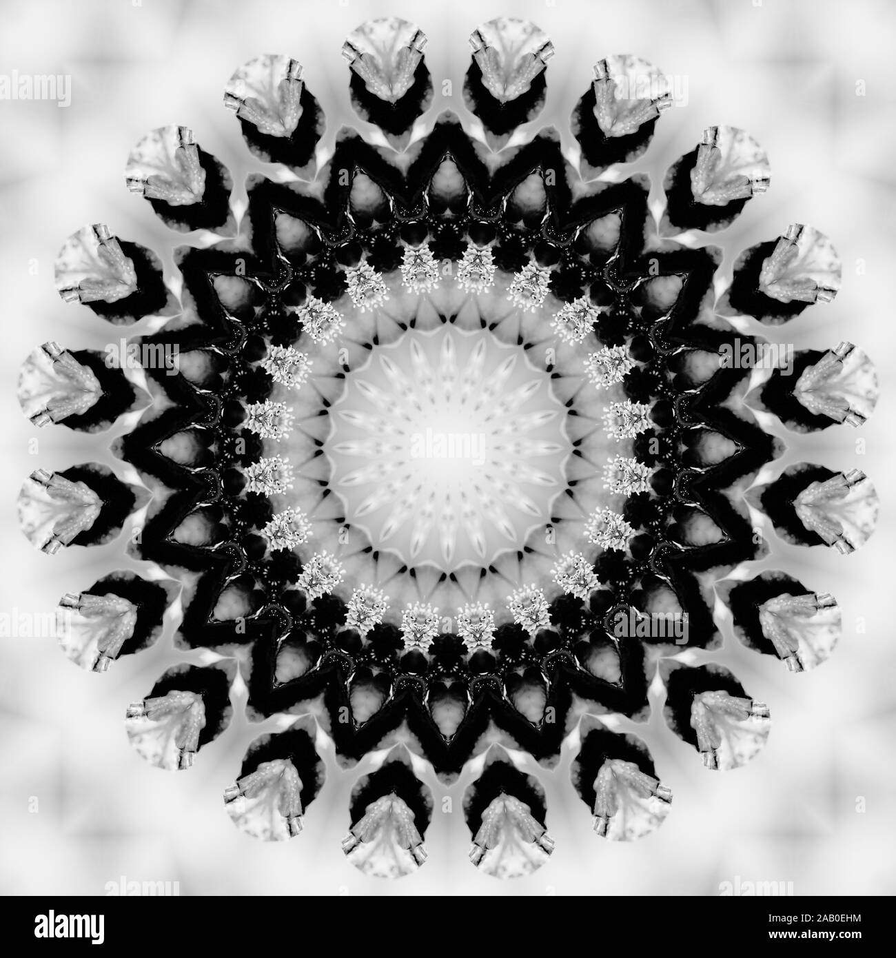 Floral kaleidoscopic pattern. Monochrome geometric ornament . Mandala ...