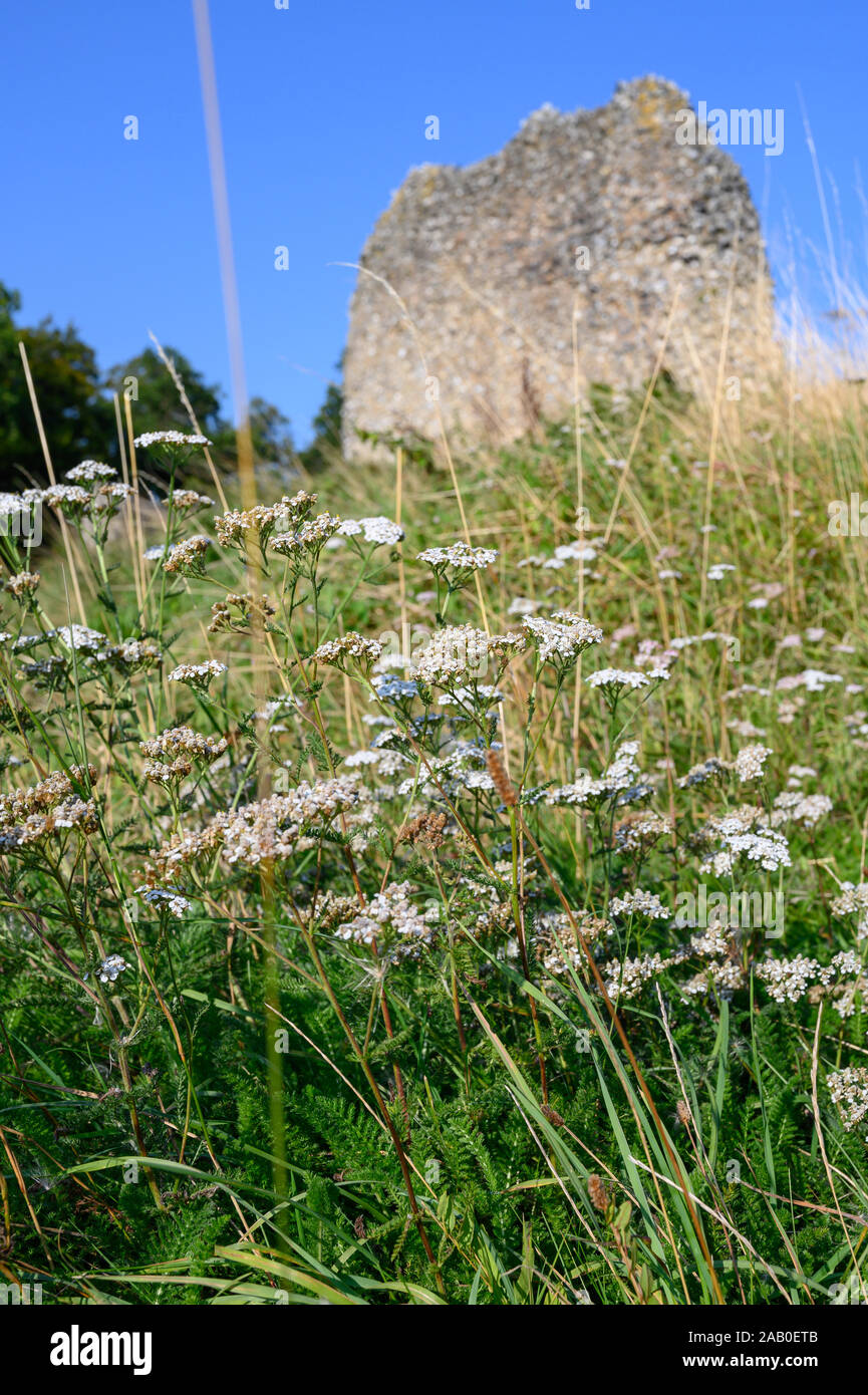 Photography - Nick Harrison Stock Photo - Alamy