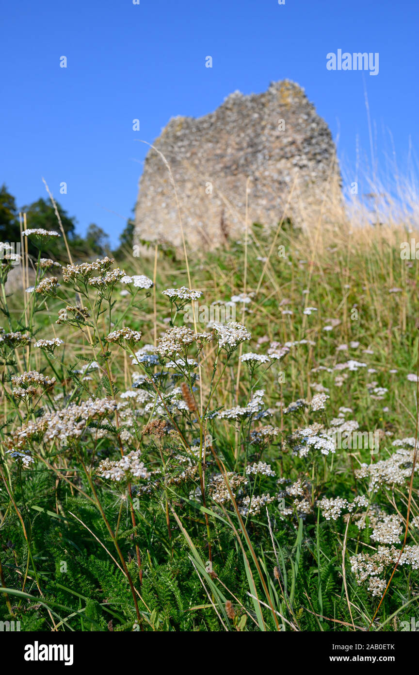 Photography - Nick Harrison Stock Photo - Alamy