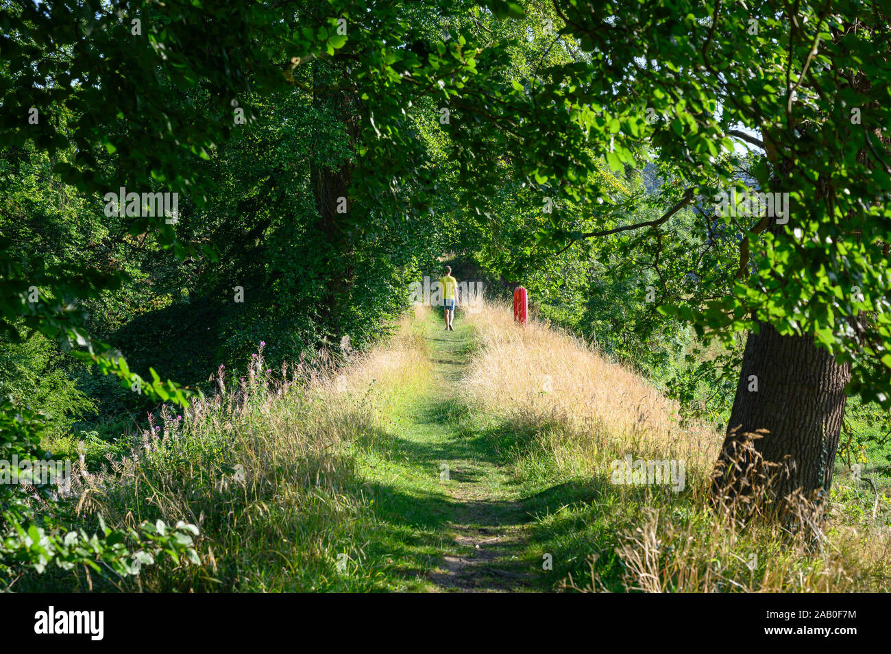 Photography - Nick Harrison Stock Photo - Alamy