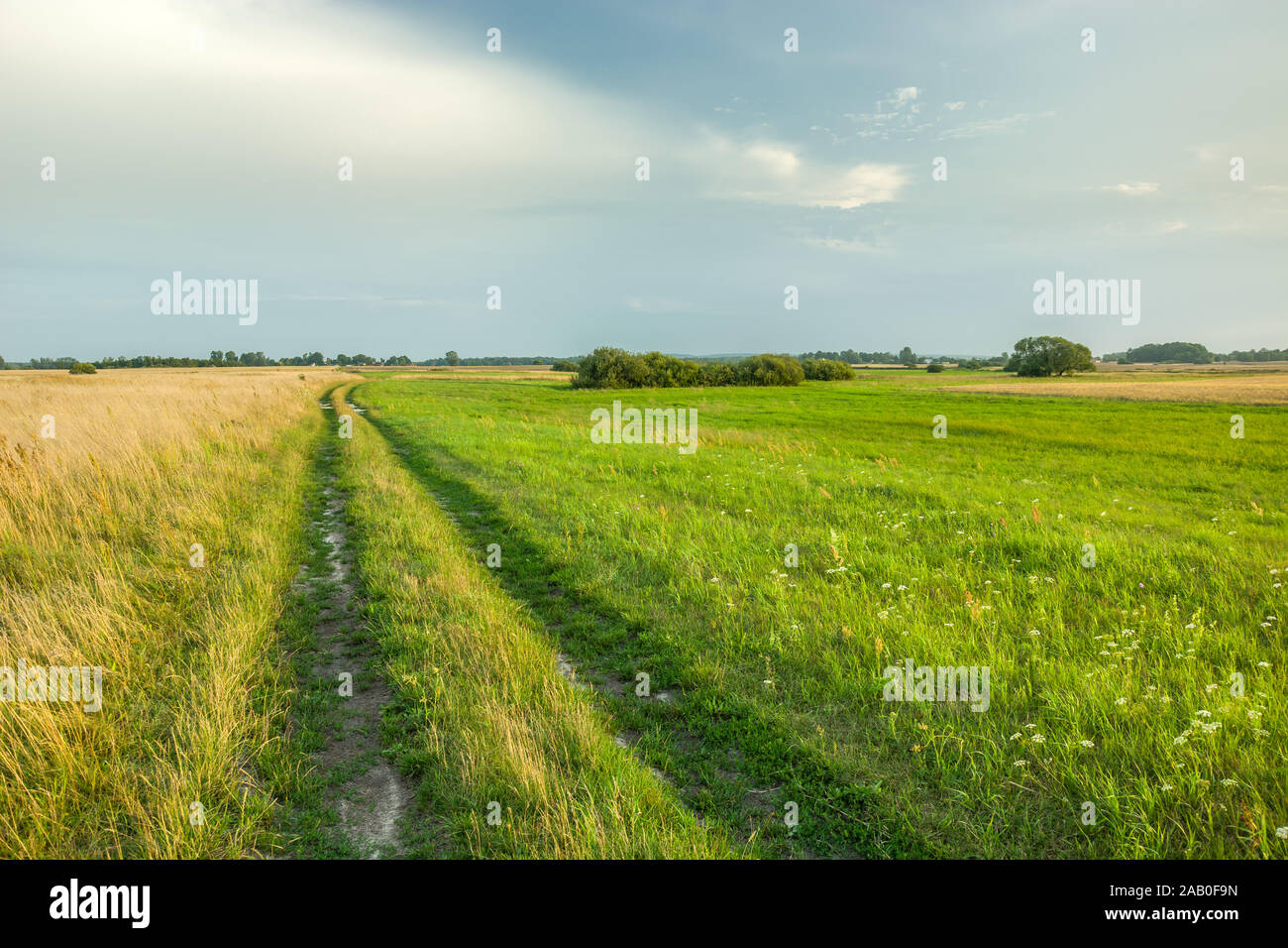 Rural farm country road towards hi-res stock photography and images - Alamy