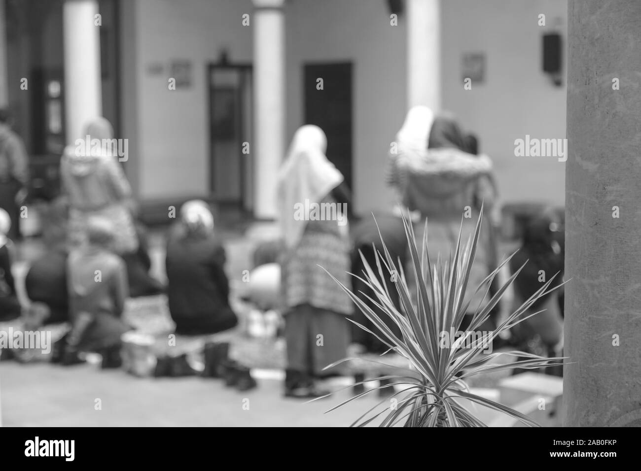 Photo of the Prayer performing by muslim women Stock Photo - Alamy