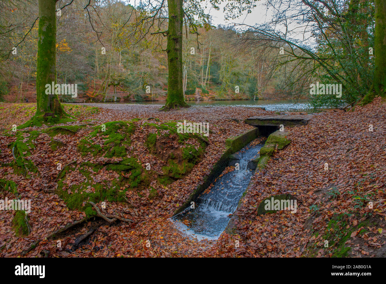 Waggoners Wells, near Hindhead and Grayshott, on the Surrey and ...