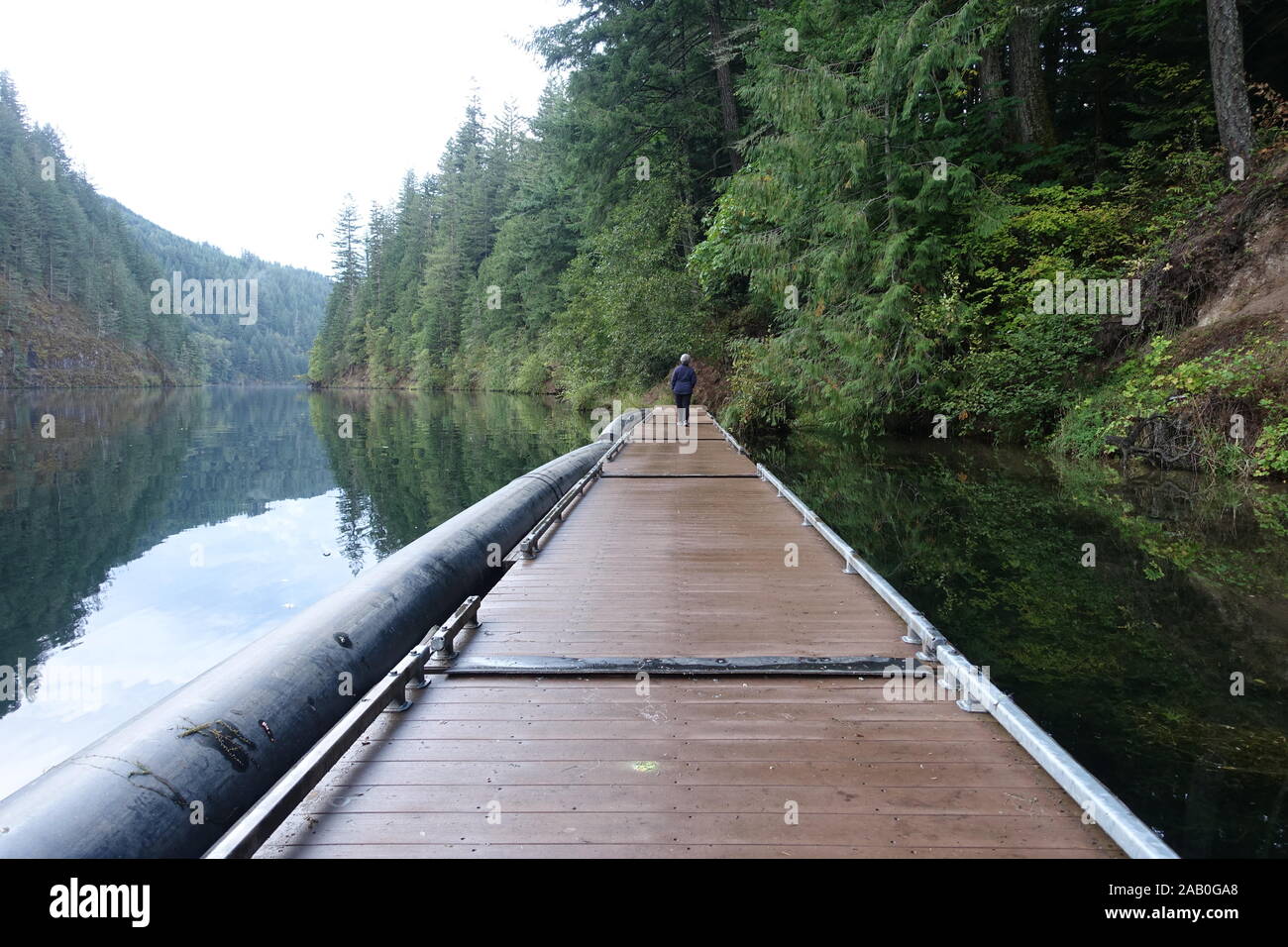 Clackamas River area Northern Oregon Stock Photo - Alamy