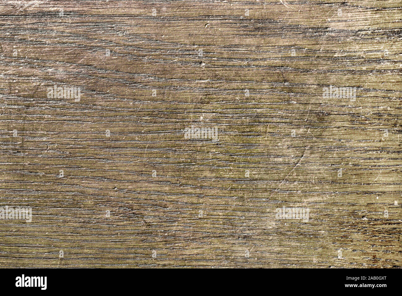 Photo of a medium dark wood texture Stock Photo - Alamy