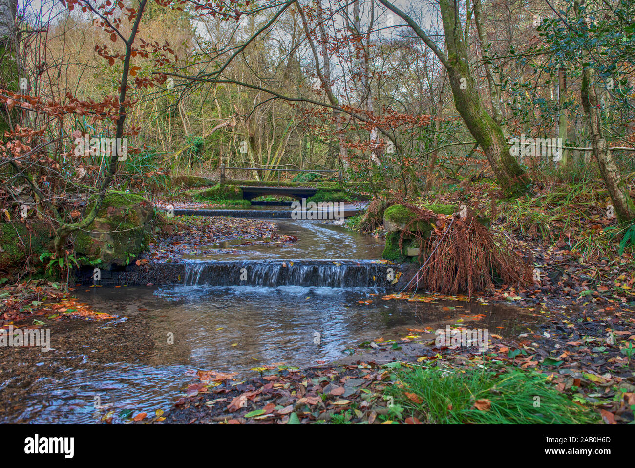 Waggoner's Wells, near Hindhead and Grayshott, on the Surrey and ...