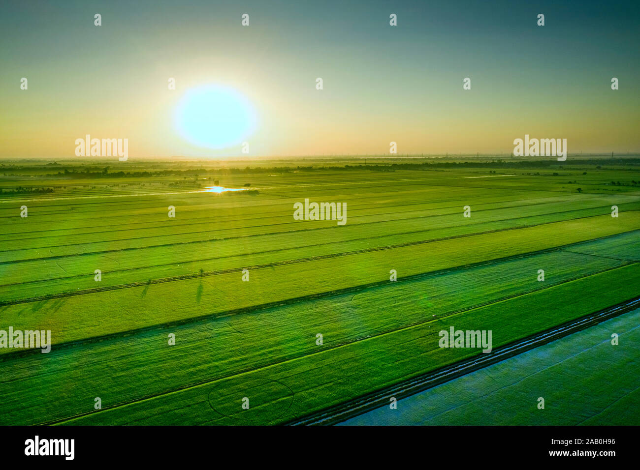 Sun rising over rice paddy field hi-res stock photography and images ...