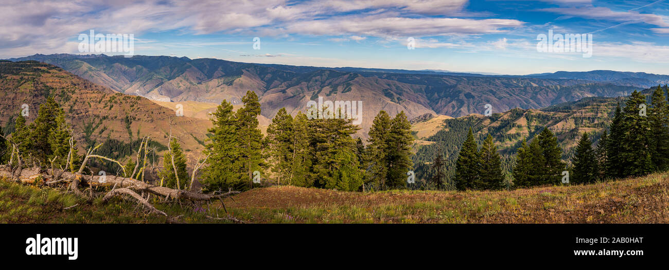 A view into Idaho from Hells Canyon Overlook in Oregon Stock Photo - Alamy