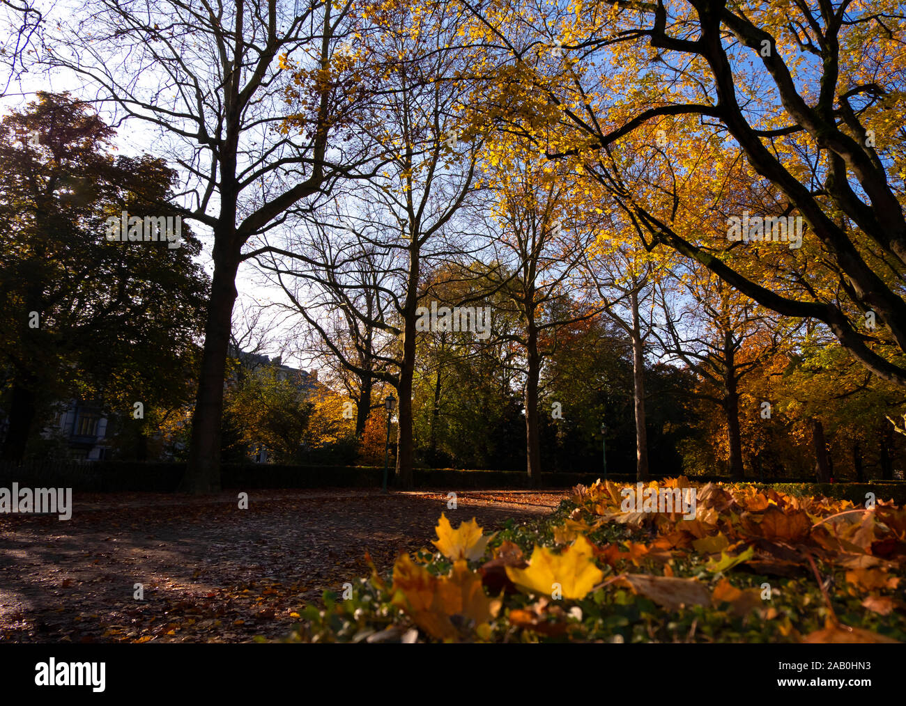 Classic autumn landscape in Jubilee Park or Parc du Cinquantenaire ...