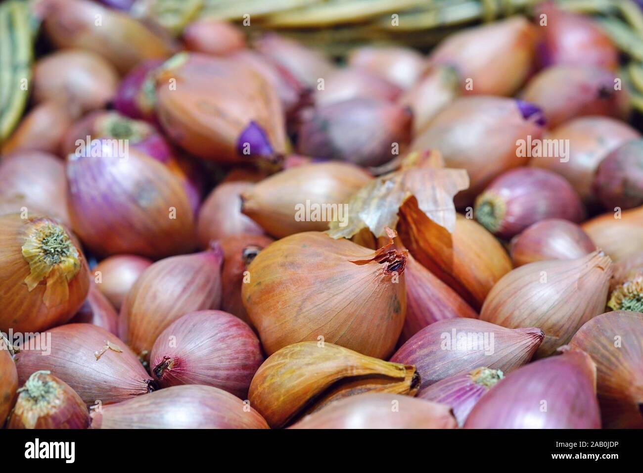 Fresh pink shallots at a farmers market Stock Photo - Alamy