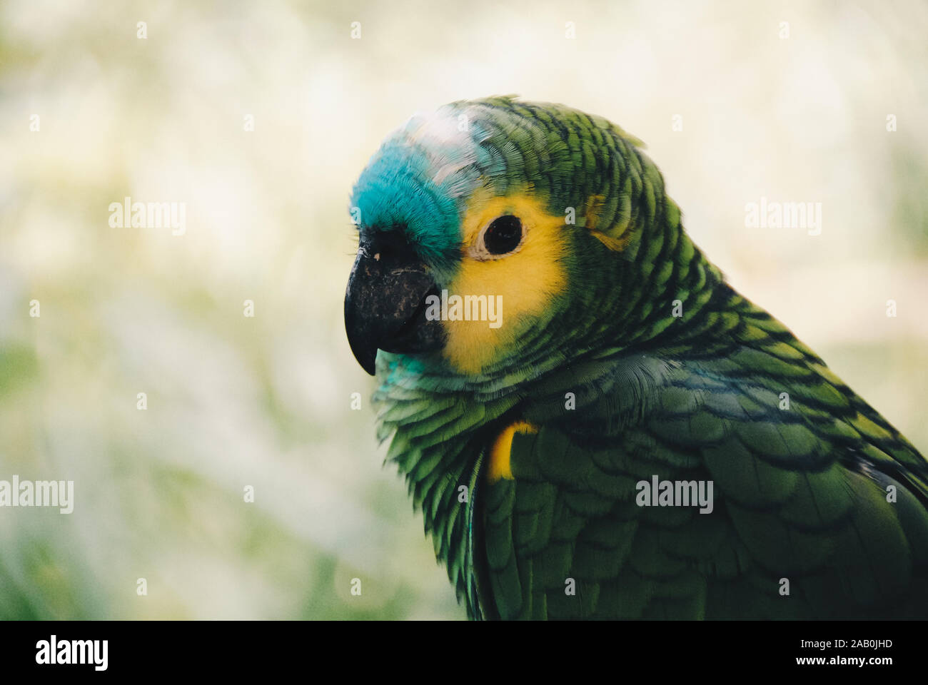 Quaker Female High Resolution Stock Photography and Images - Alamy