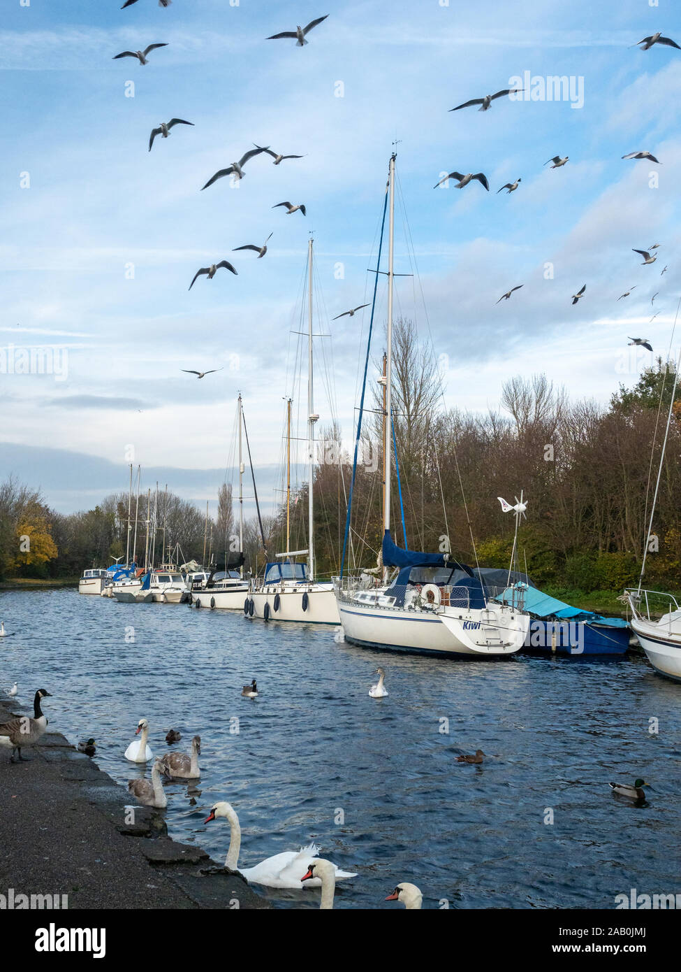 Runcorn boat hi-res stock photography and images - Alamy